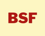 What Does Bsf Mean in Texting - Slang Words Meaning