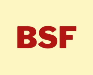What Does Bsf Mean in Texting - Slang Words Meaning