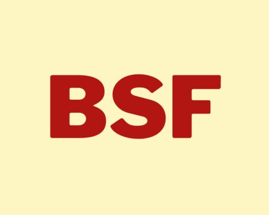 What Does Bsf Mean in Texting - Slang Words Meaning