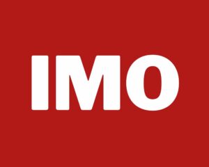 Unlocking the Meaning of 'IMO' in Texting: Origins and Usage